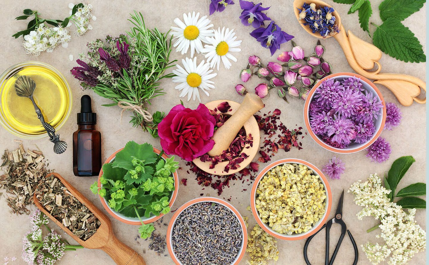What is the essential oils